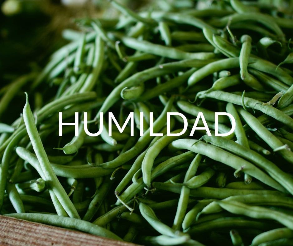 Humildad – La Tinaja