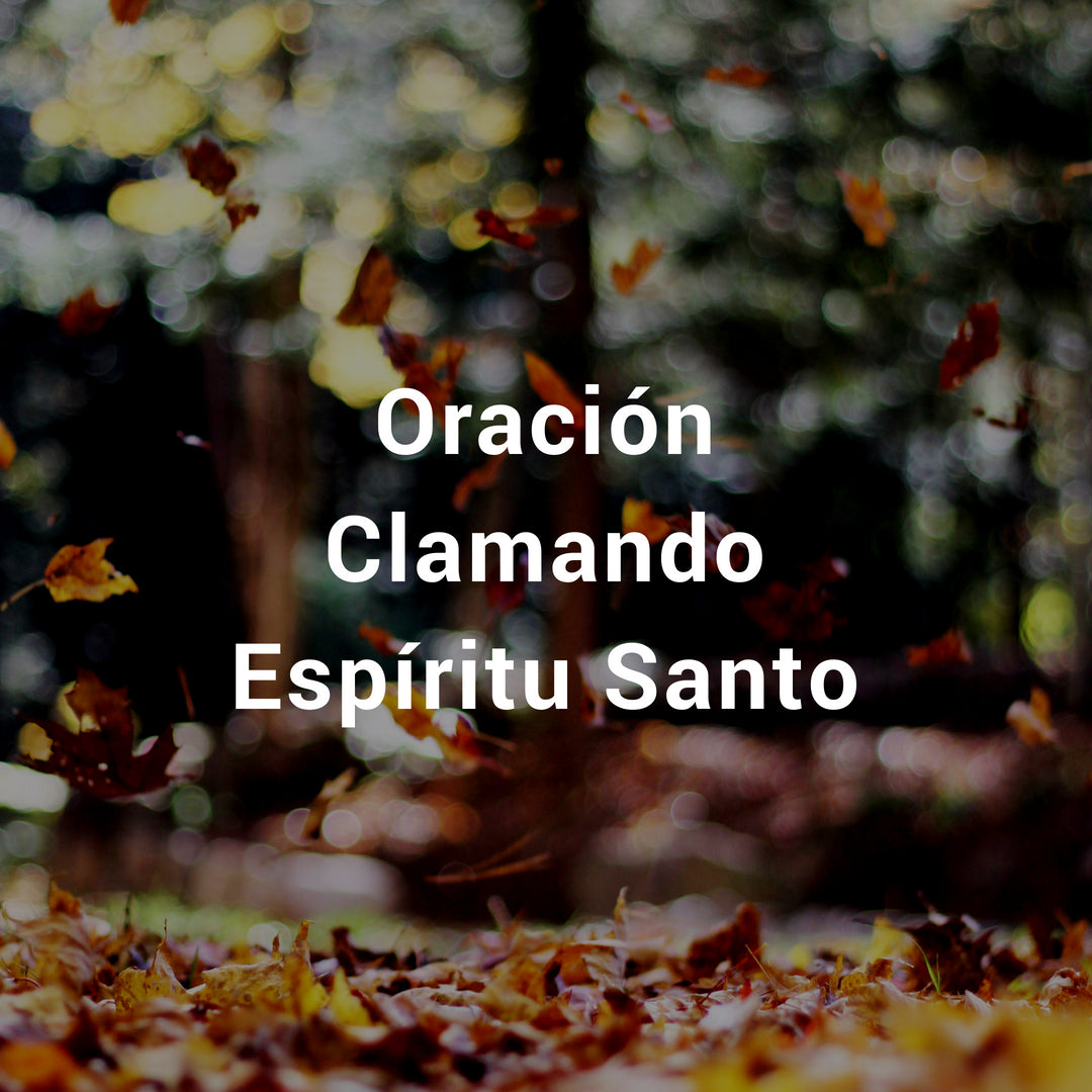 Oración clamando el Espíritu Santo – La Tinaja
