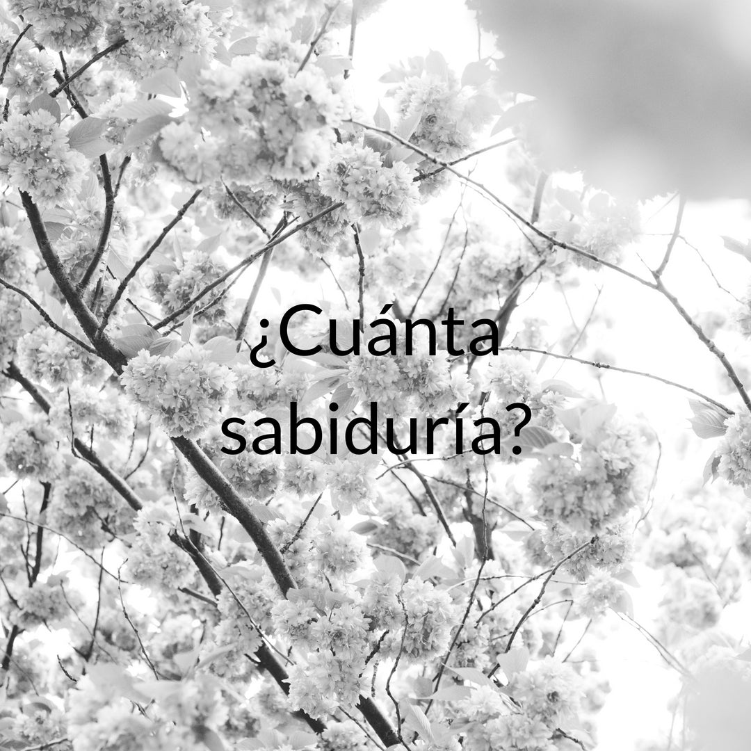 ¿Cuánta sabiduría? – La Tinaja