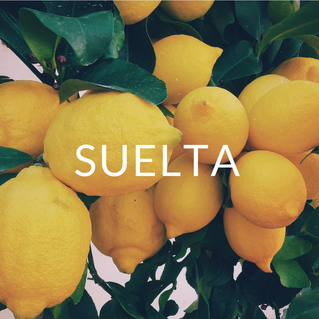 Suelta – La Tinaja